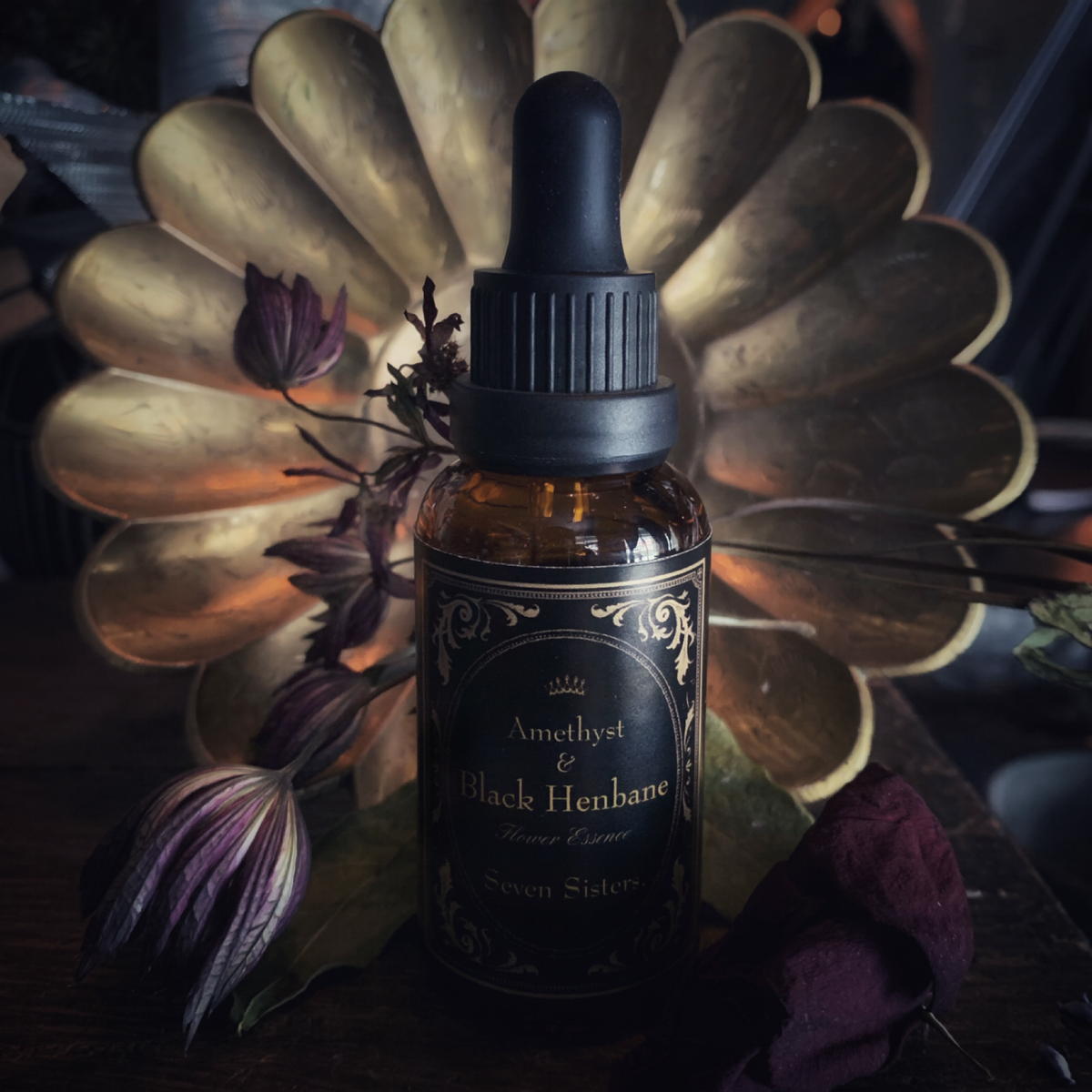 Amethyst and Black Henbane Flower Essence – Seven Sisters Ritual Apothecary